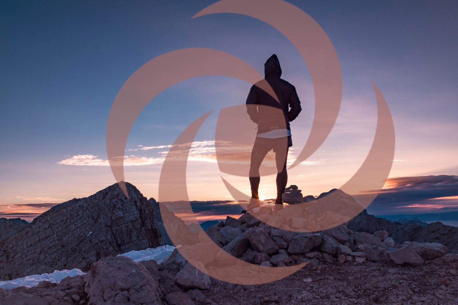 Root to Rise - Purest Potential